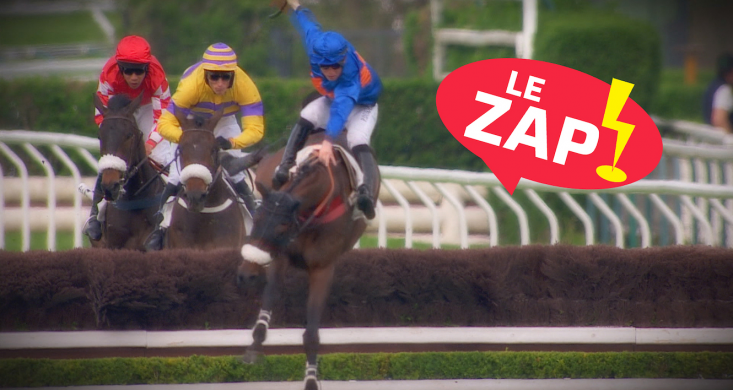 Equidia - Le Zap du mois d'avril 2019 | Equidia