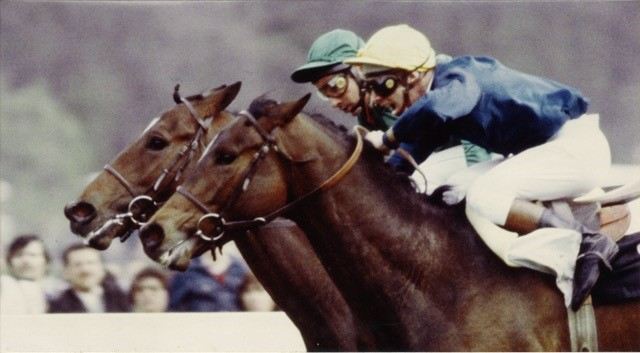 Décès du crack jockey Henri Samani | Equidia