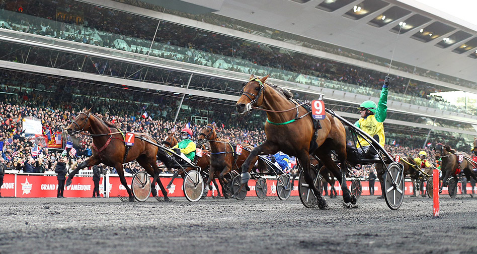 Regardez les courses en direct et découvrez les pronos du Quinté+ | Equidia