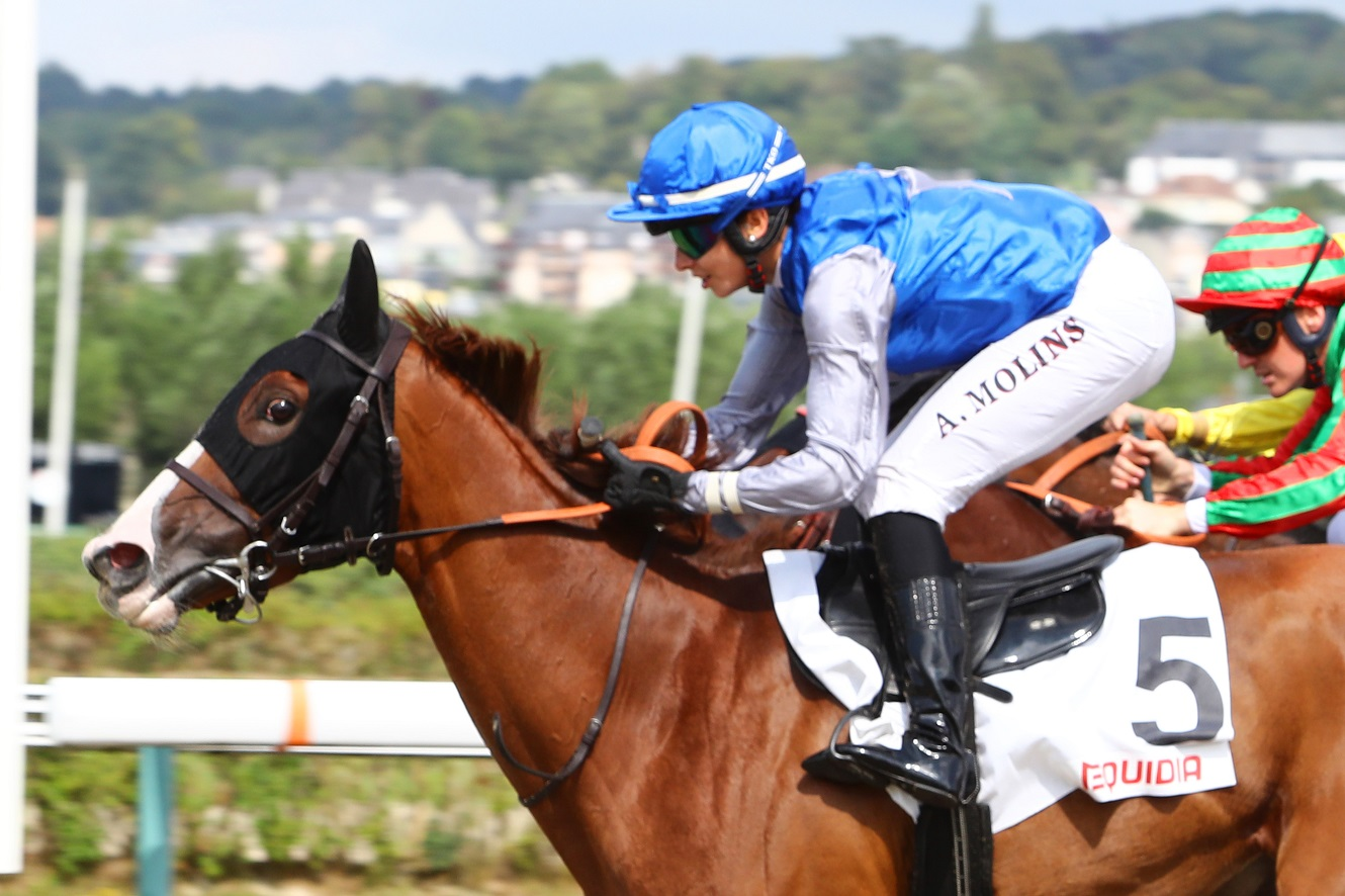 Une année de course au galop : Le best of 2019 | Equidia